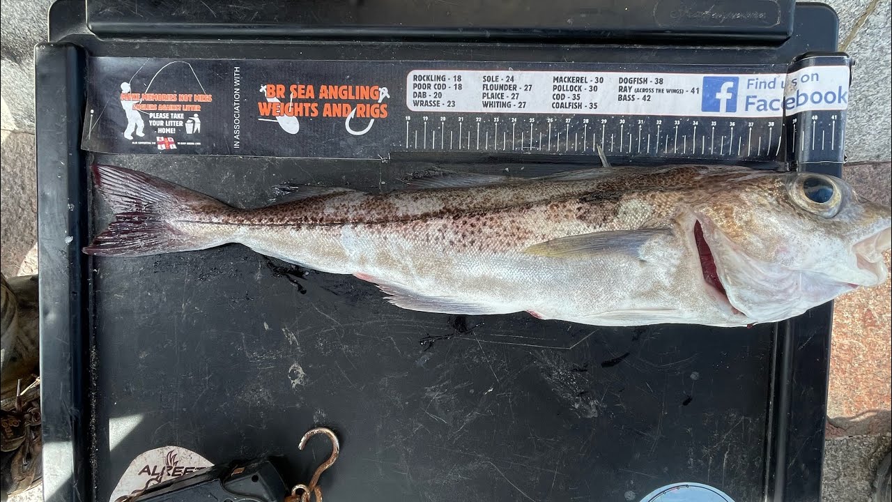 Mint day fishing on Roker pier with the boys 17.3.23 - YouTube