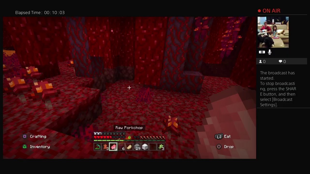 Minecraft scared of pigs - YouTube