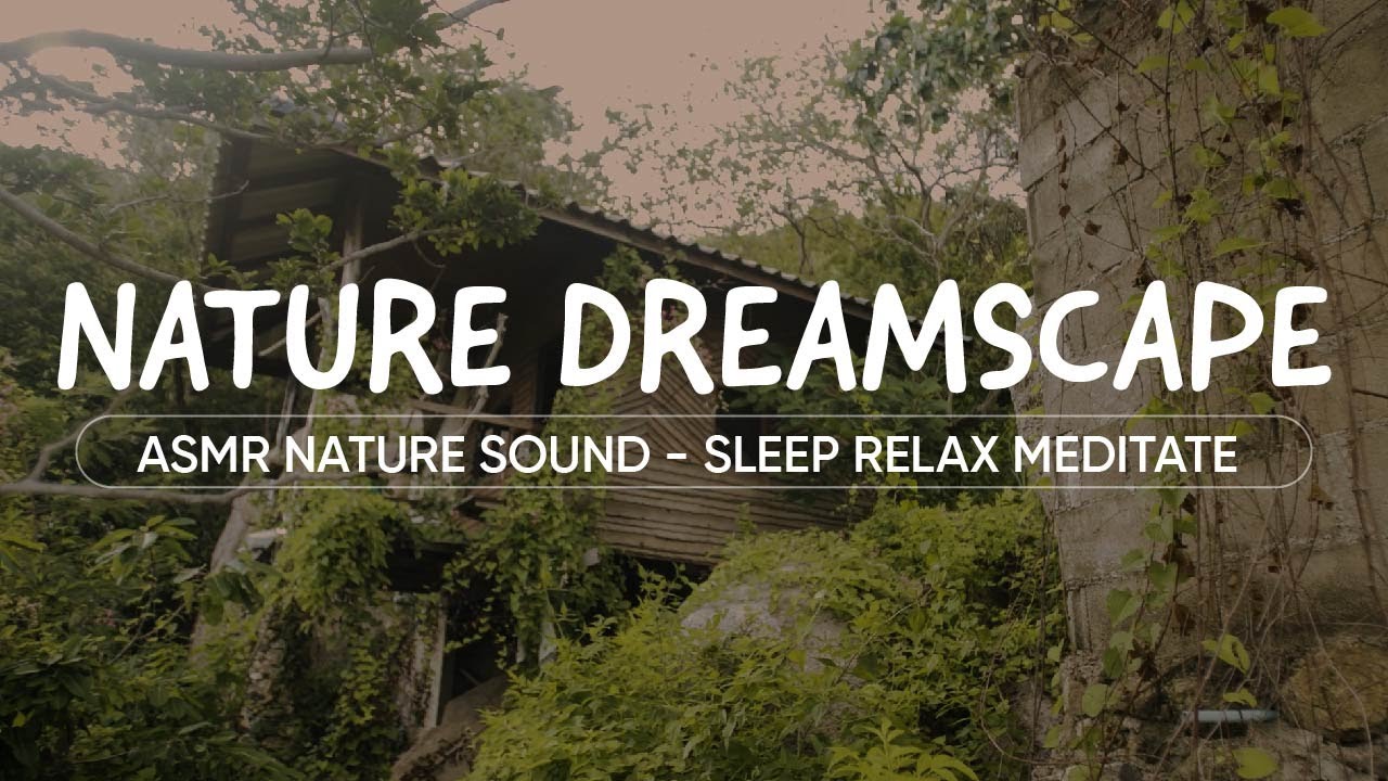 🌿 Natures tiny house dreamscape RELAX, STUDY, DREAM, FOCUS More Calm 3 ...