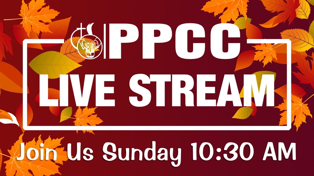 PPCC Live // 11.29.2020 - YouTube