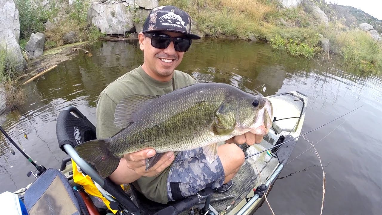 BARRETT LAKE - Good to be Back - YouTube