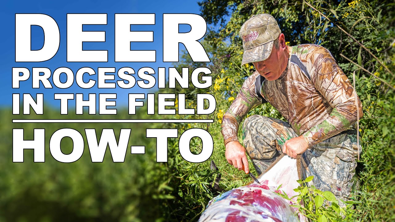 How to Process or Debone a Whitetail Deer in the Field - YouTube