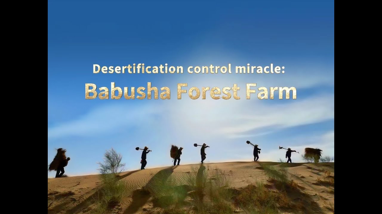 Desertification control miracle: Babusha Forest Farm - YouTube