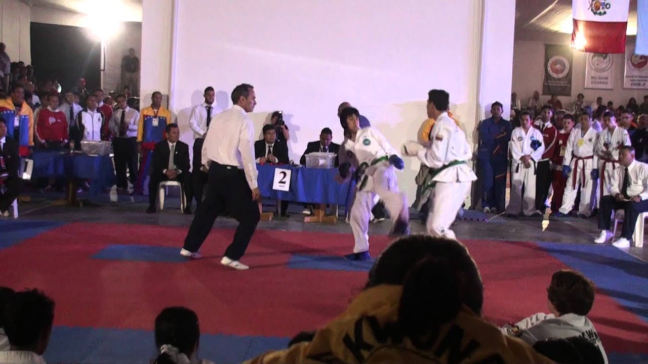 JONATAN REYES COMBATE IV JUEGOS SUDAMERICANOS DE TAKWONDO ITF - YouTube