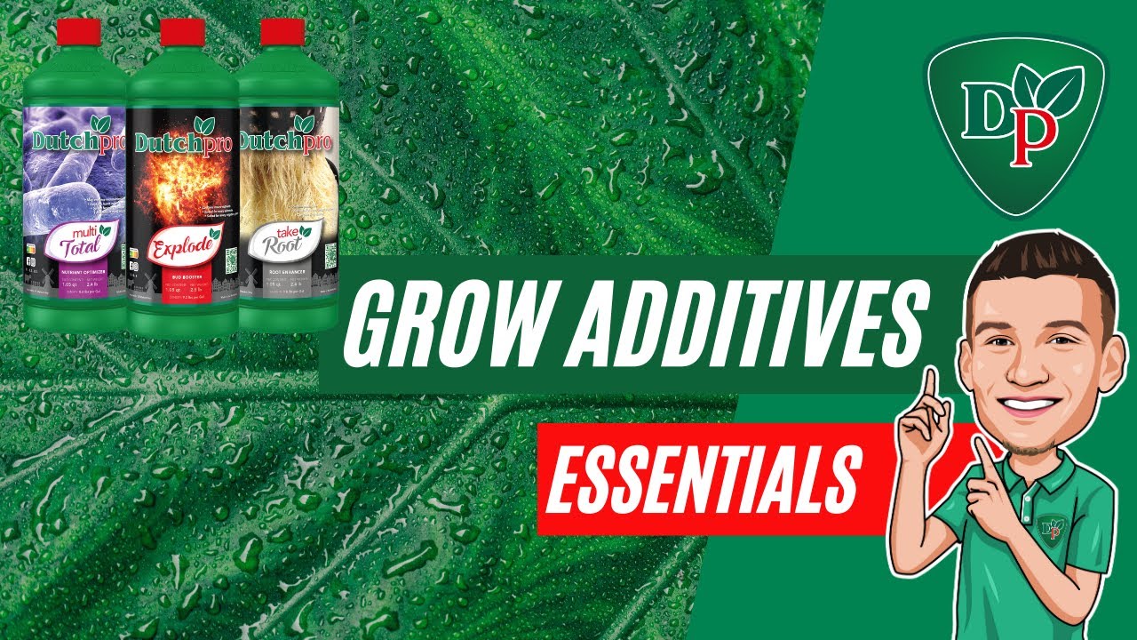 Plant Nutrient Additives: What Makes an Additive Essential? | Dutchpro ...