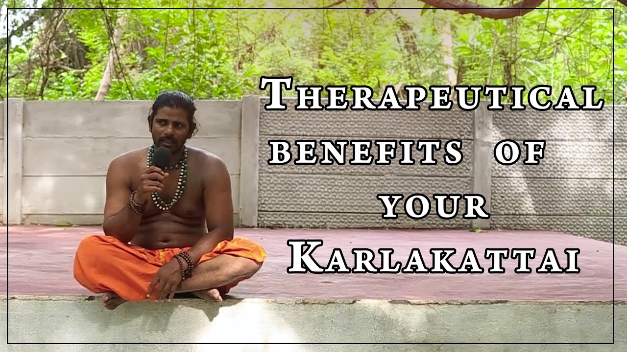 Therapeutical benefits of your Karlakattai - YouTube