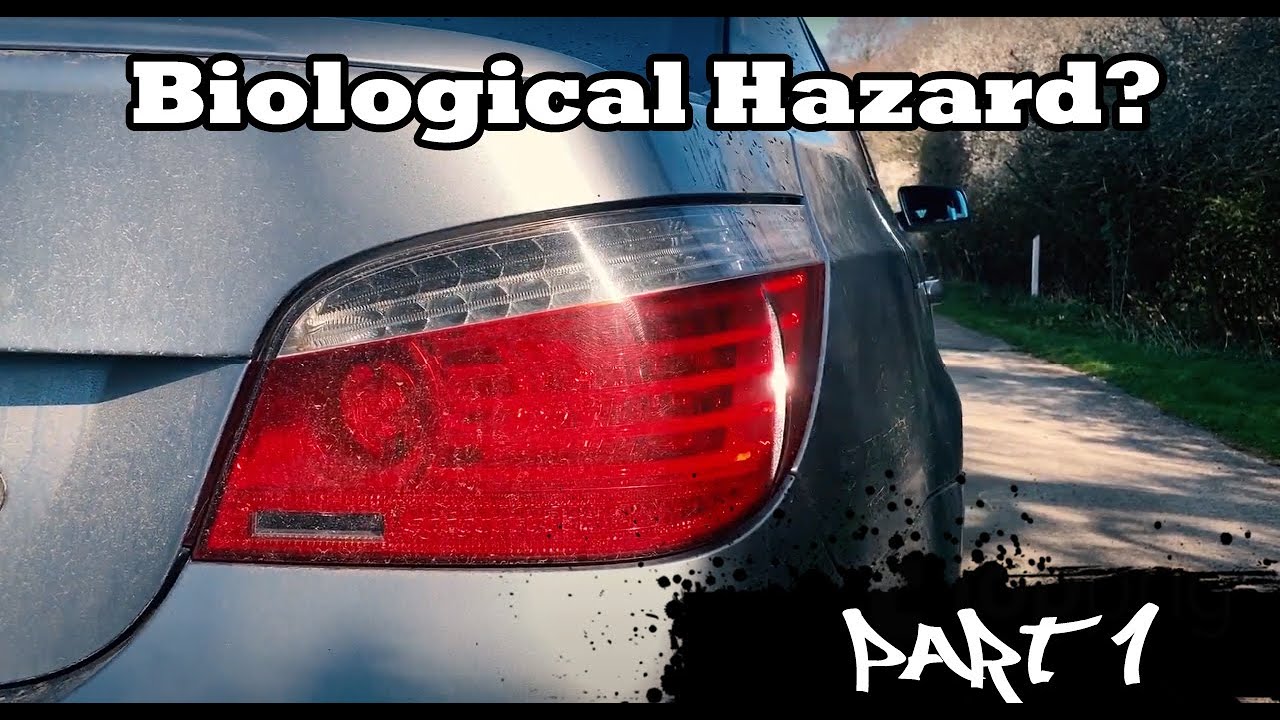 Cleaning The Biological Hazard On My High Mileage BMW (E60) / Project ...