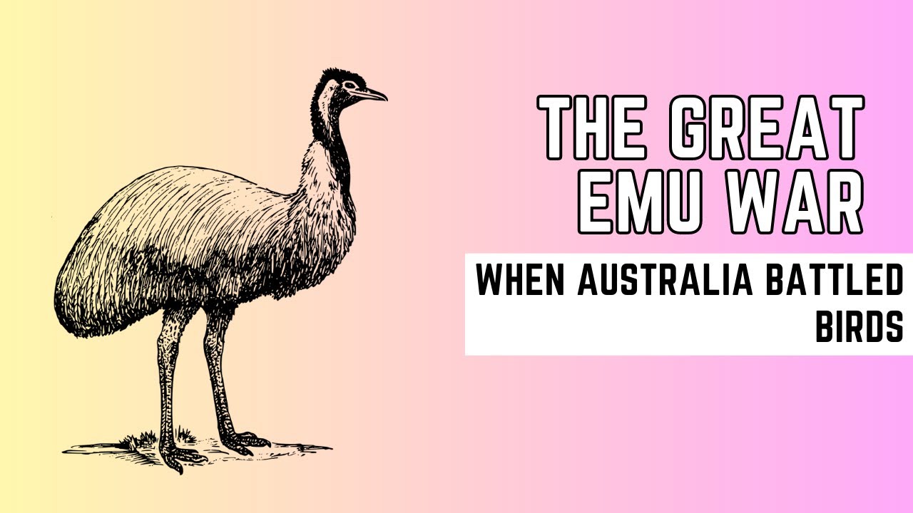 The Great Emu War: When Australia Battled Birds - YouTube