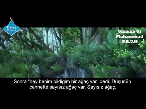 Adem ve Havva Nouman Ali Khan  Davet Meclisi