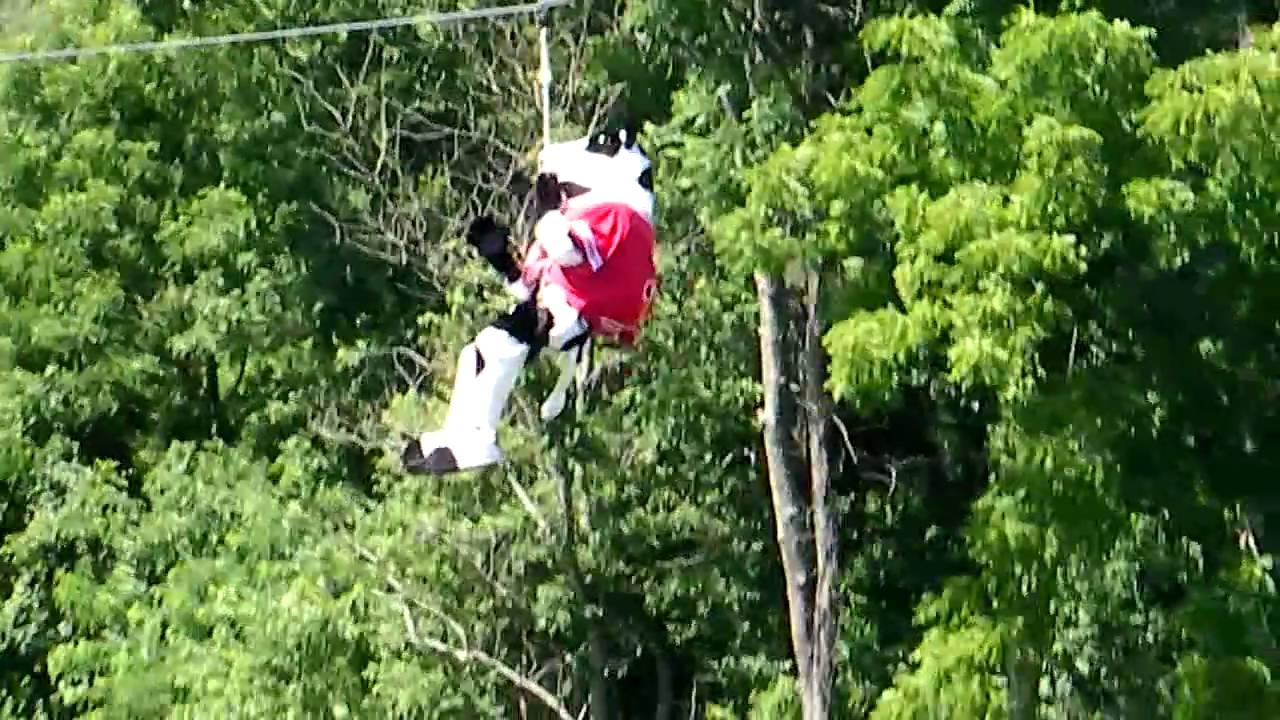 Chick-fil-A Cow Rides the River Valley Ranch 1700' Zipline - YouTube