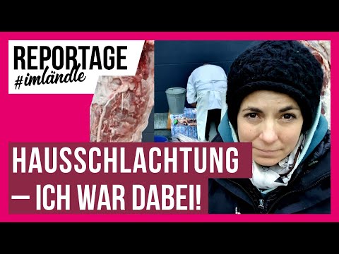 Hausschlachtung - ich war dabei!