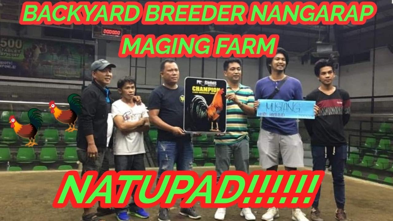 PANGARAP NG ISANG BACKYARD BREEDER NATUPAD?!?!?! (EP20) - YouTube