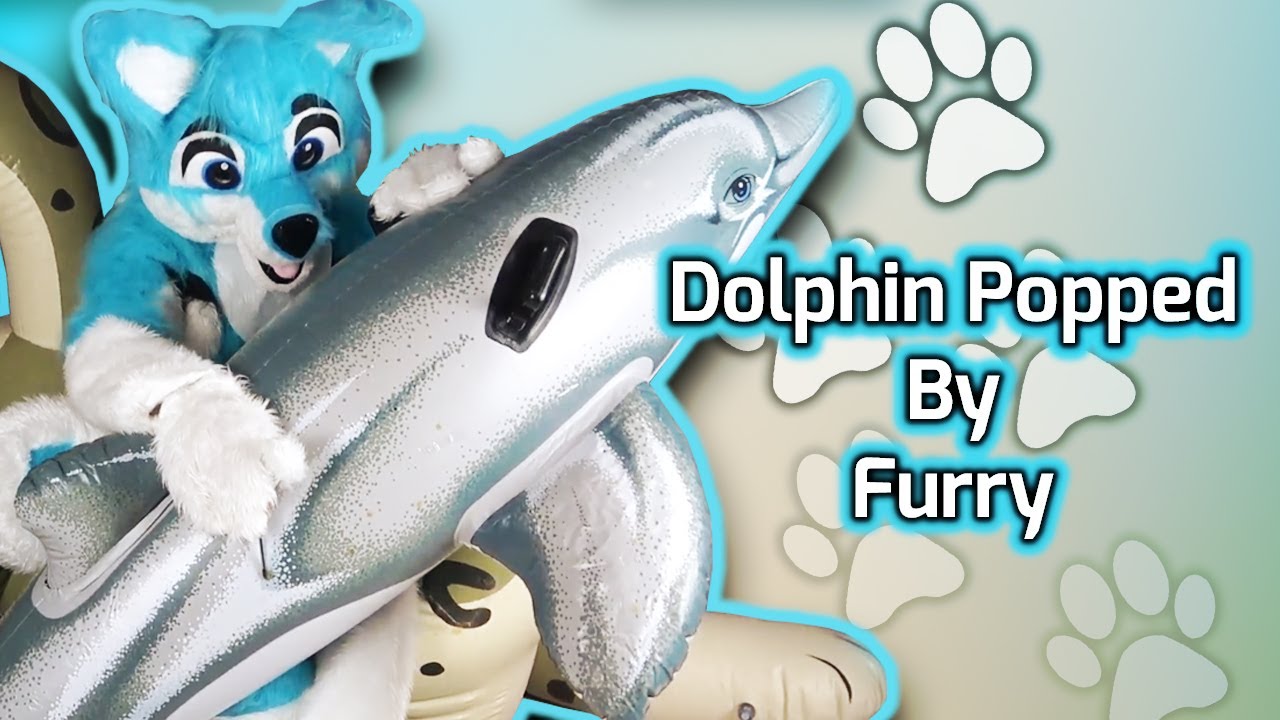 Pop inflatable - Mean Furry popping the Vintage Dolphin on PuffyPaw ...