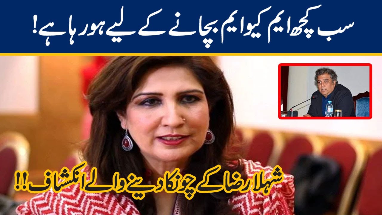 PPP Shehla Raza Inside Story Of Ali Zaidi JIT Report - YouTube