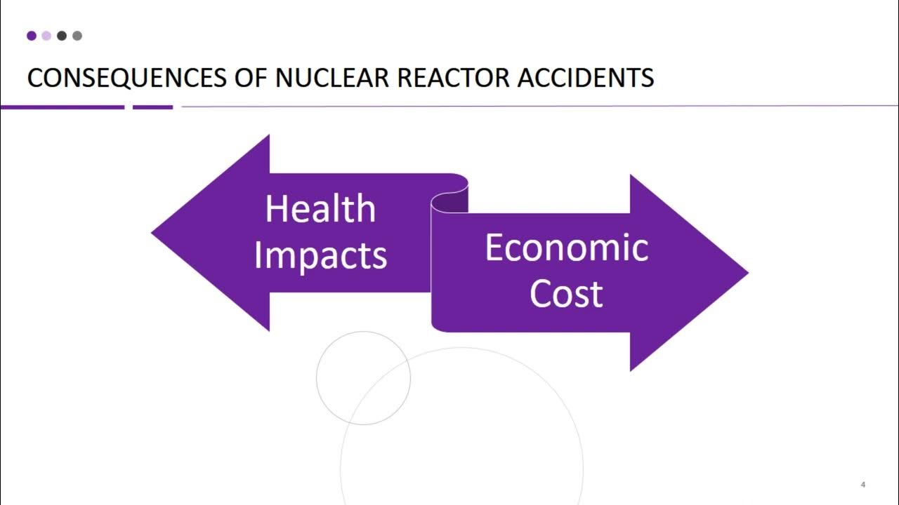 Nuclear Reactor Accidents: Understanding the Causes and Consequences ...