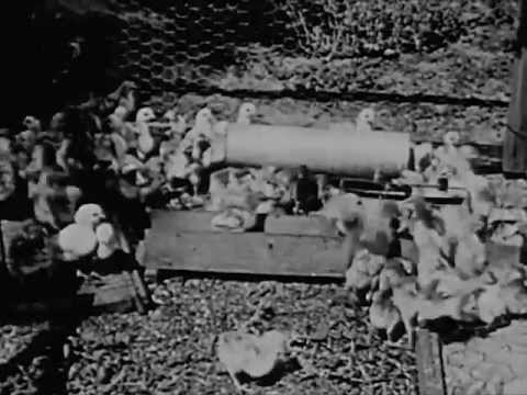 Farming History in America: Farming in the 1920s & 1930s ...