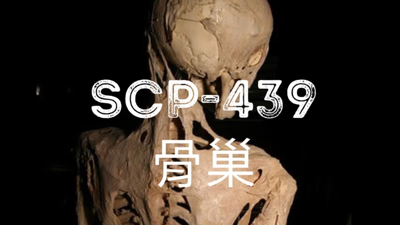 SCP基金會 SCP-439 Bone Hive 骨巢 (中文） - YouTube