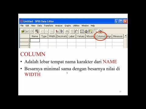 Pengenalan menu data view dan variabel view pada SPSS - YouTube