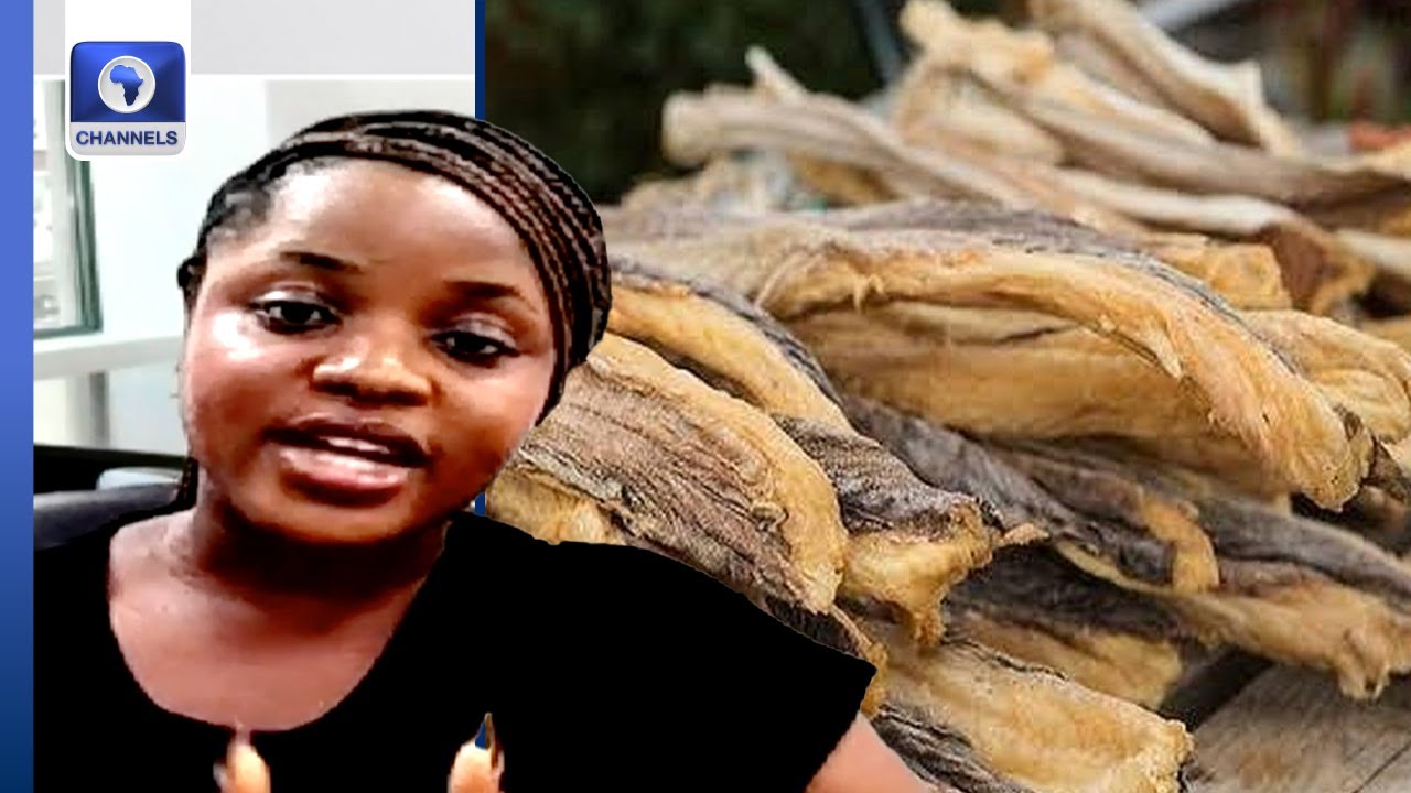 Stockfish Prices Rise Over 200% In Nigeria - YouTube