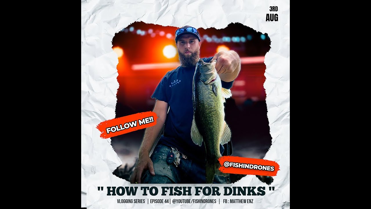 How to Fish for Dinks #bass #fishing #outdoors #vlog - YouTube