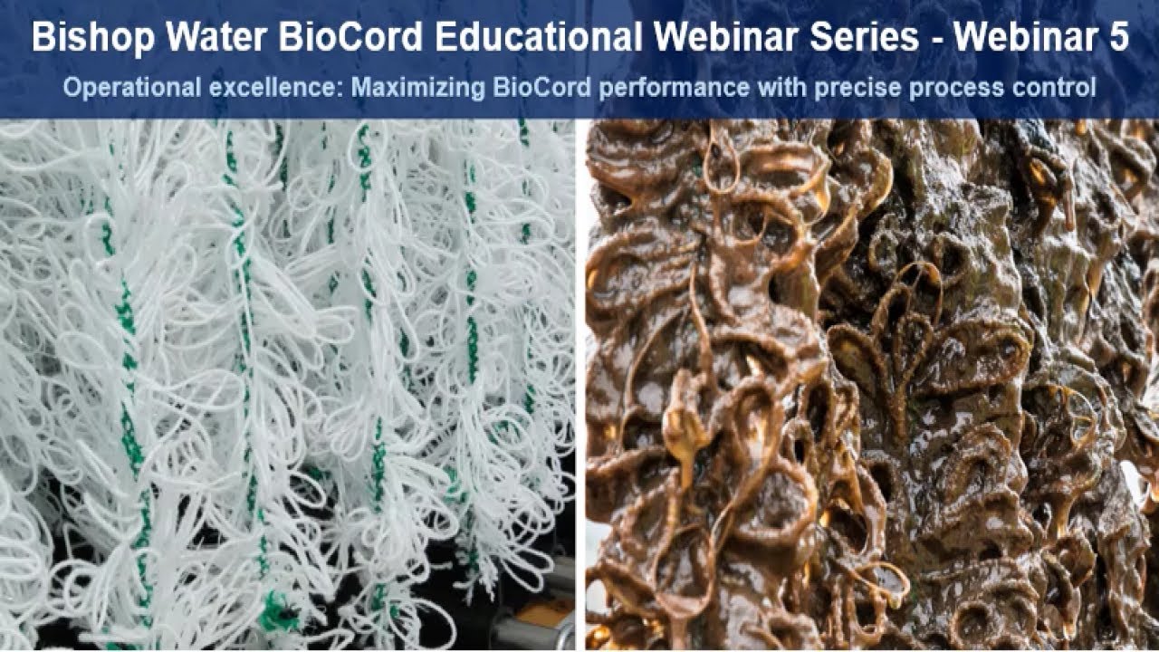 Operational Excellence: Maximizing BioCord performance with precise ...