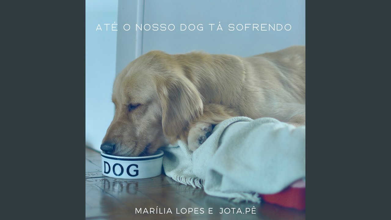 Até o Nosso Dog Tá Sofrendo (Volta) - YouTube Music