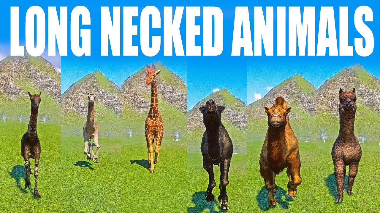Long Necked Animals Speed Races in Planet Zoo included Longipes ...