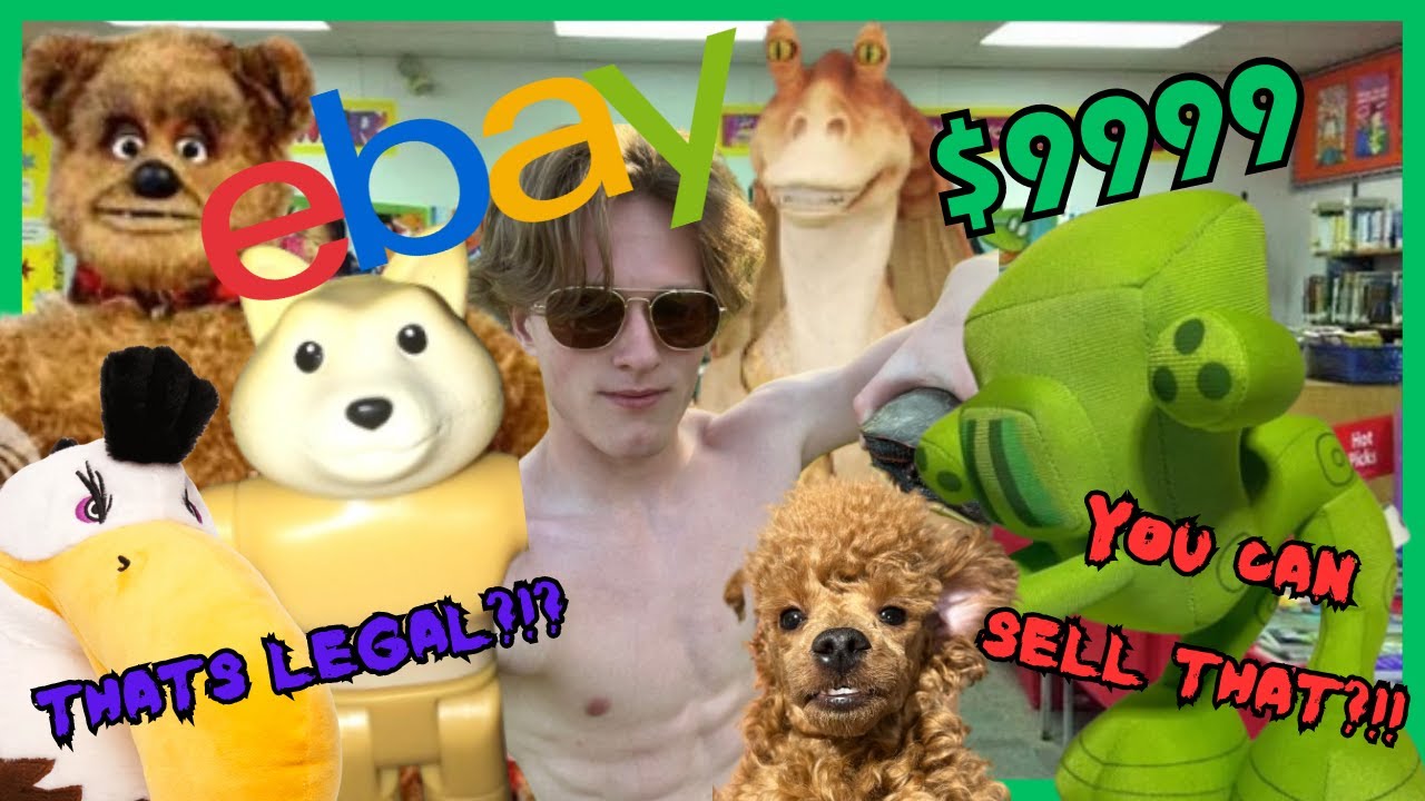 the WEIRD side of eBay - YouTube