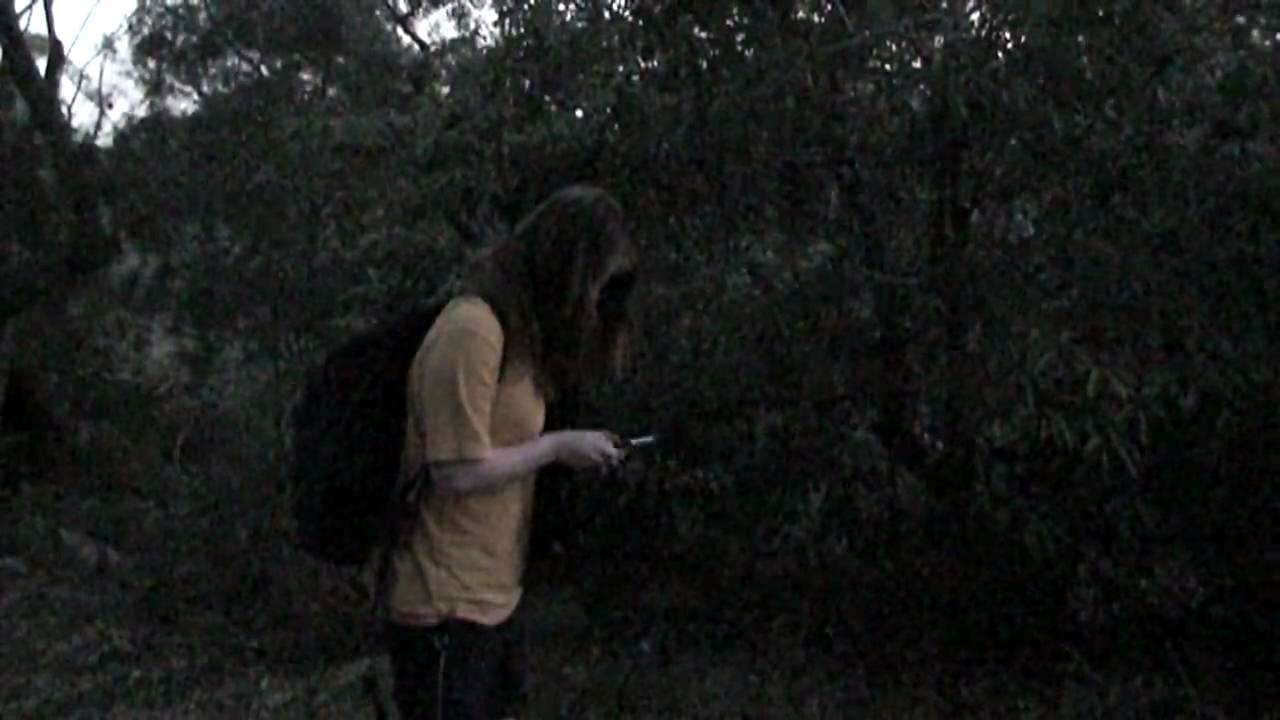 'The Wrong Track' - YouTube