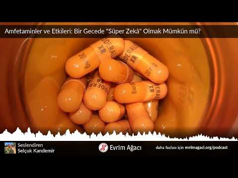 Amfetaminler ve Etkileri: Bir Gecede \