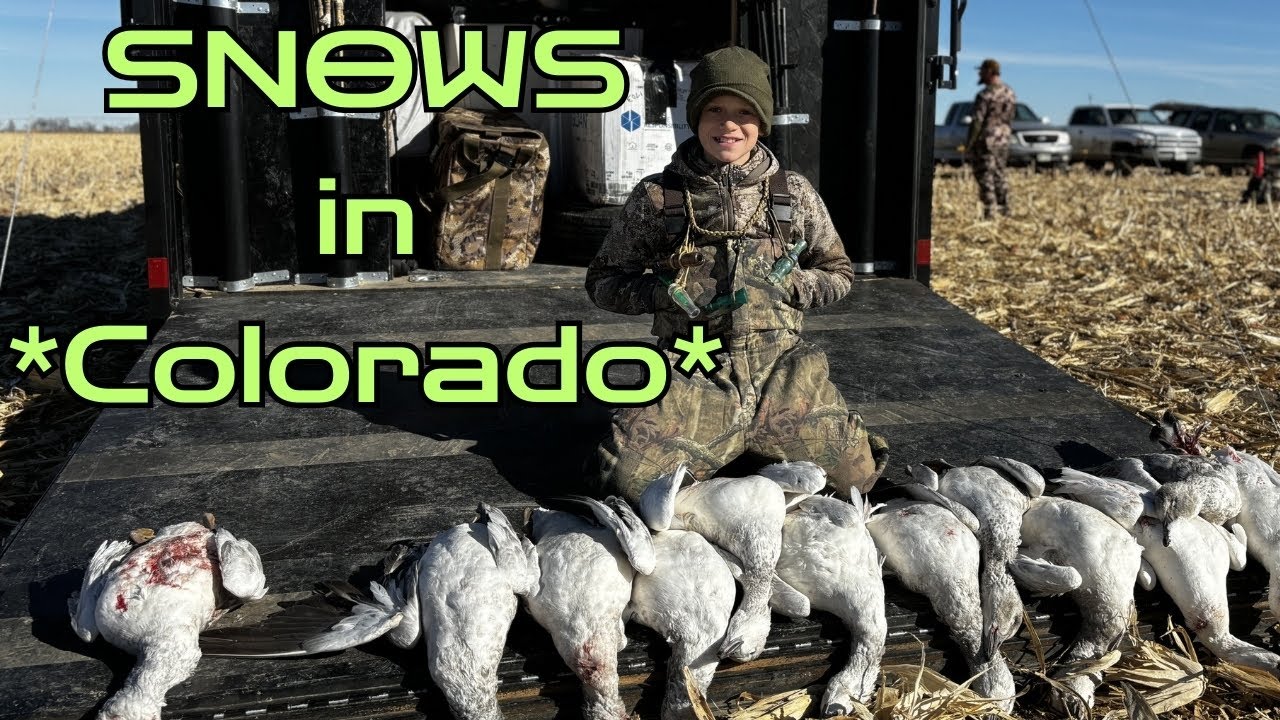 Snow Goose Pit Hunt with Goose Getters | Chasing Snows & Ducks in the ...