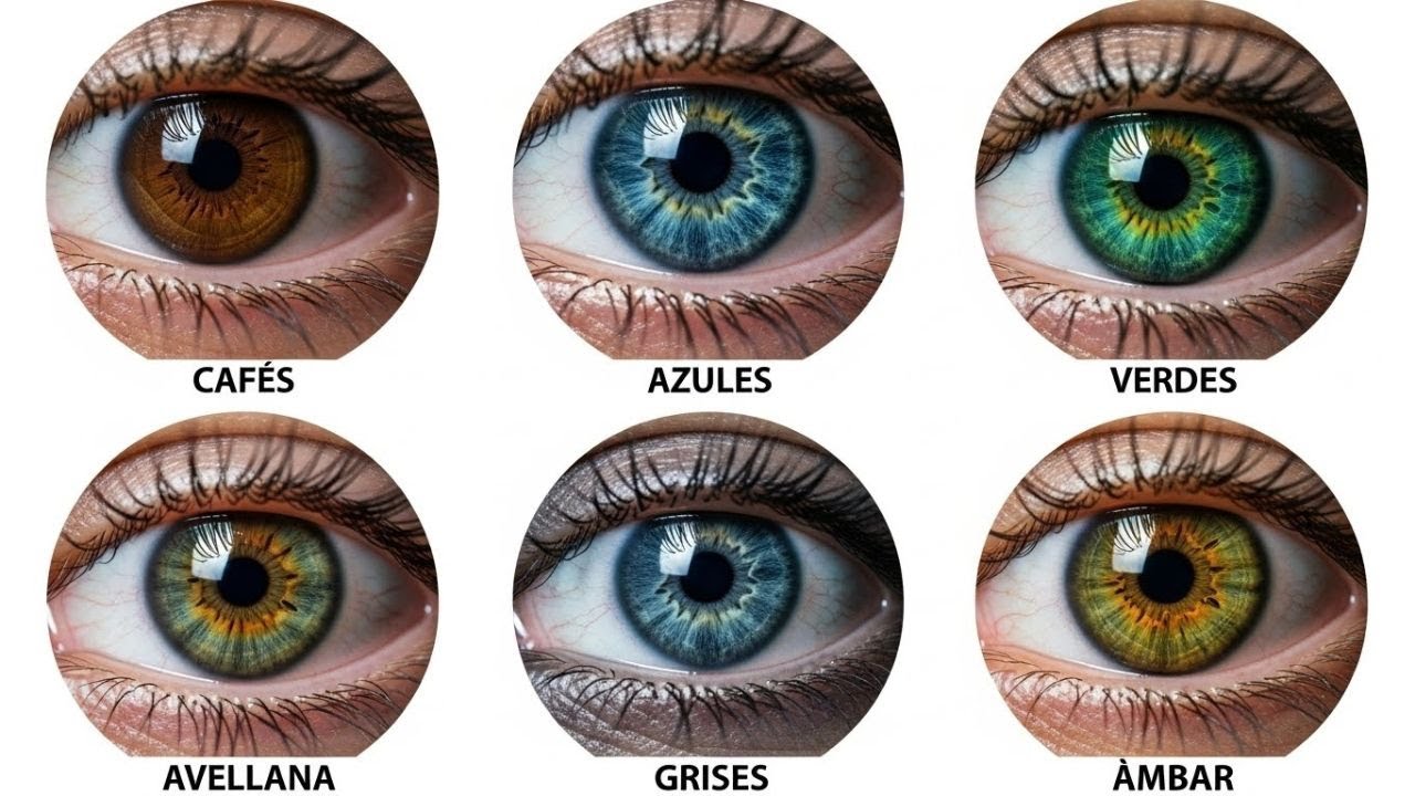 Lo Que El Color De Tus Ojos REALMENTE Dice Sobre Ti - YouTube