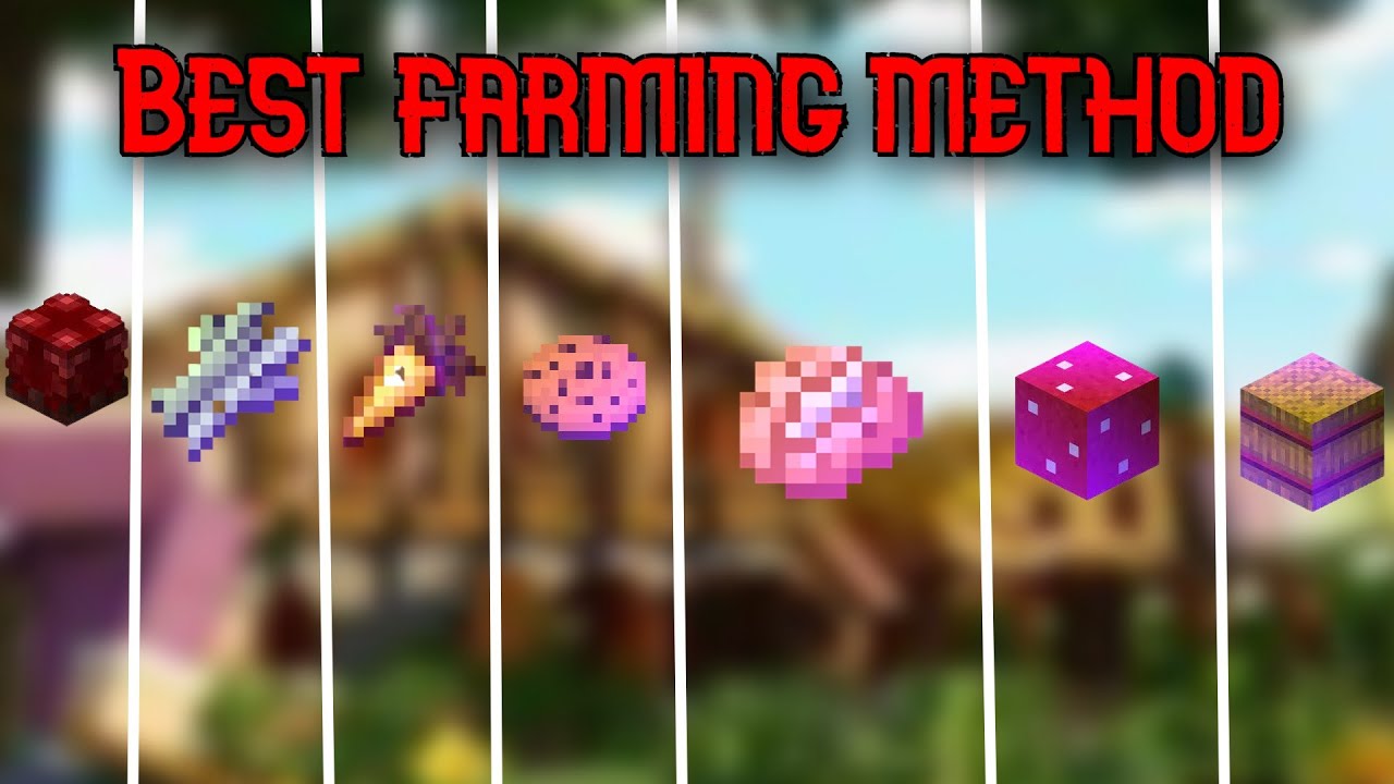 best farming money making methods in hypixel skyblock - YouTube