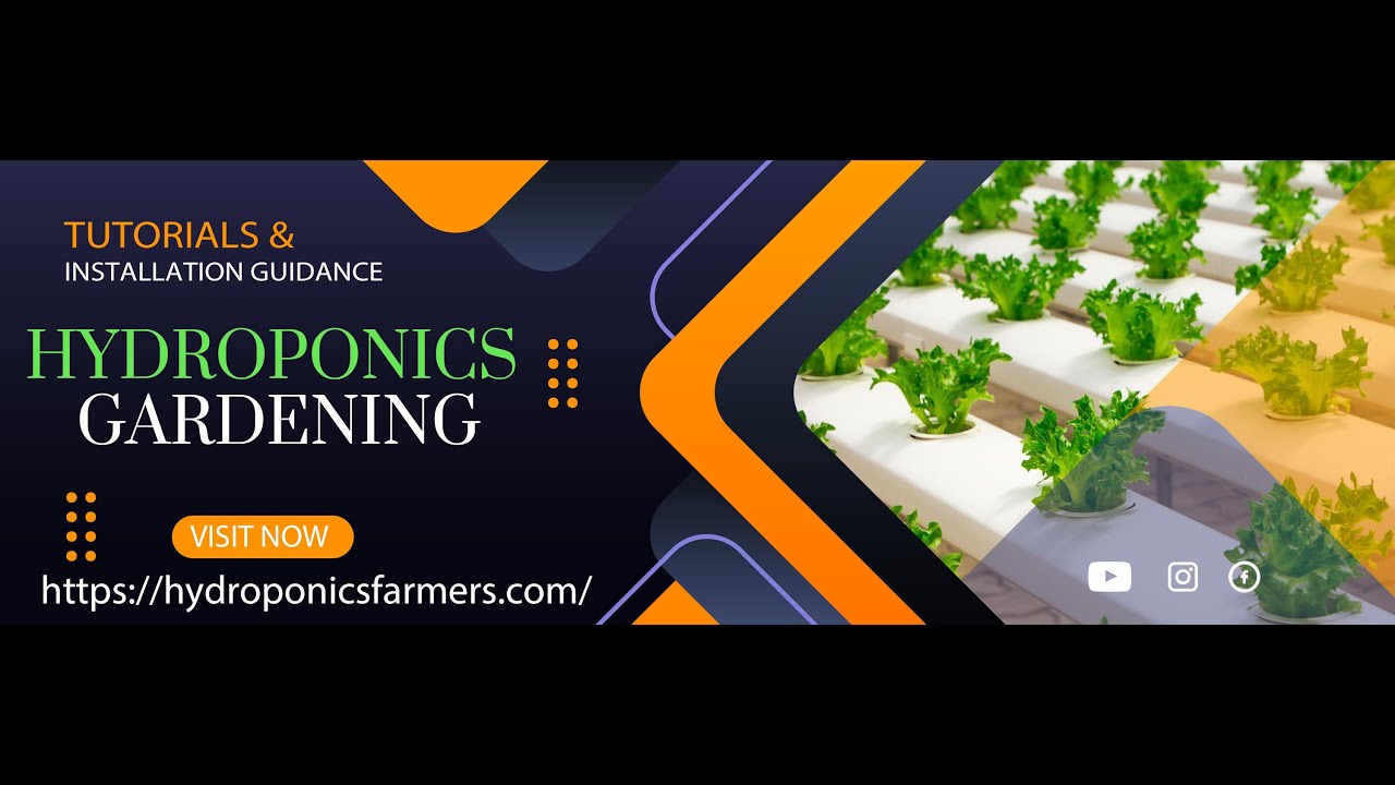 Importance of hydroponics - YouTube