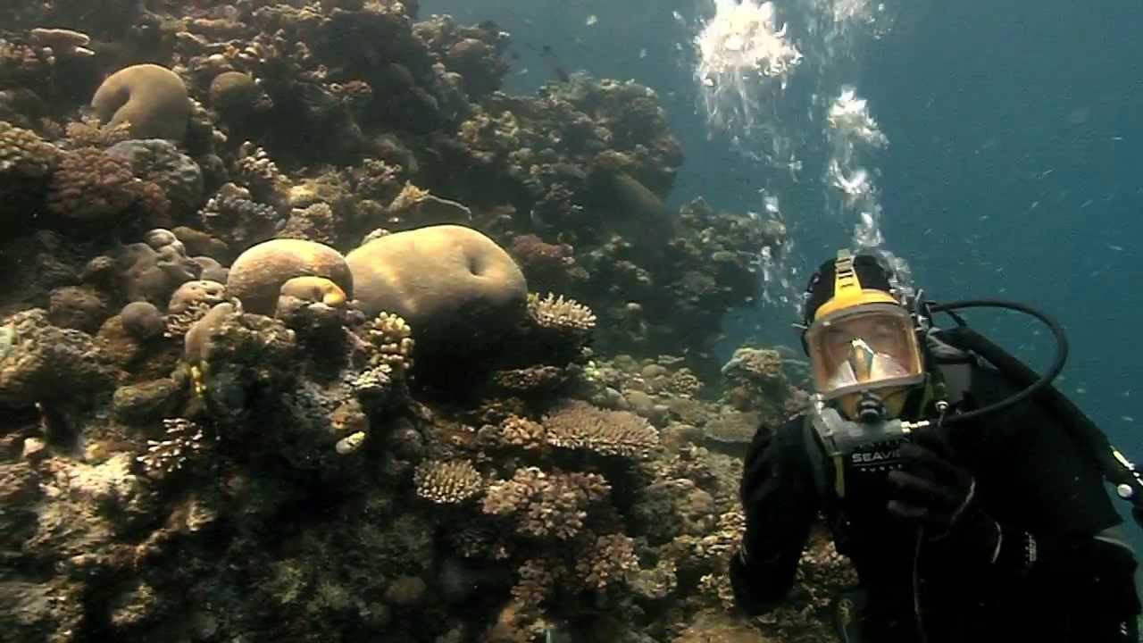 Global Reef Record - YouTube