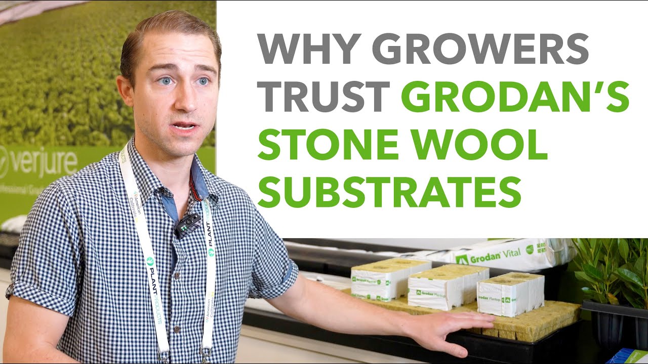 Why Growers Trust Grodan’s Stone Wool Substrates - YouTube
