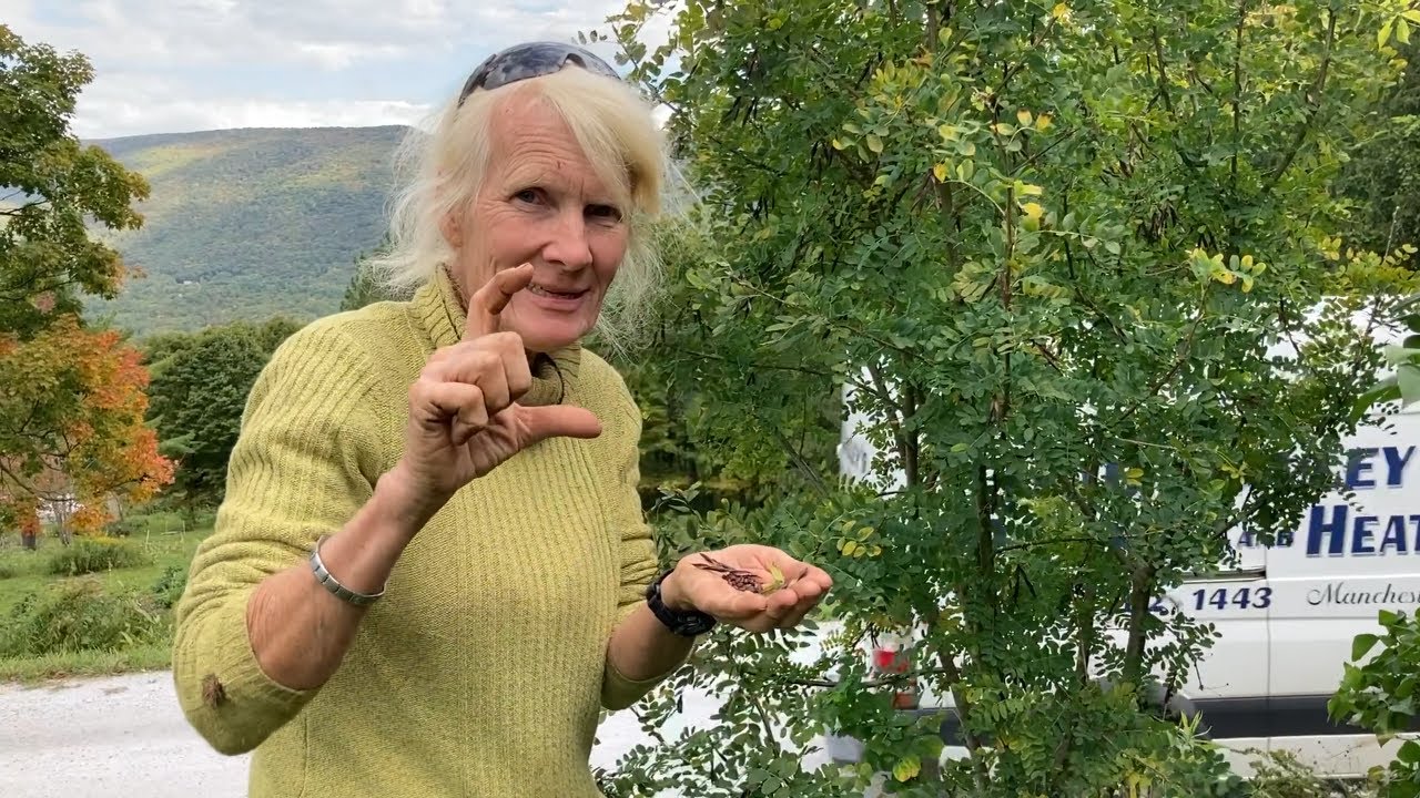 News from the Farm: Saving Seeds, Timely Traditions - YouTube