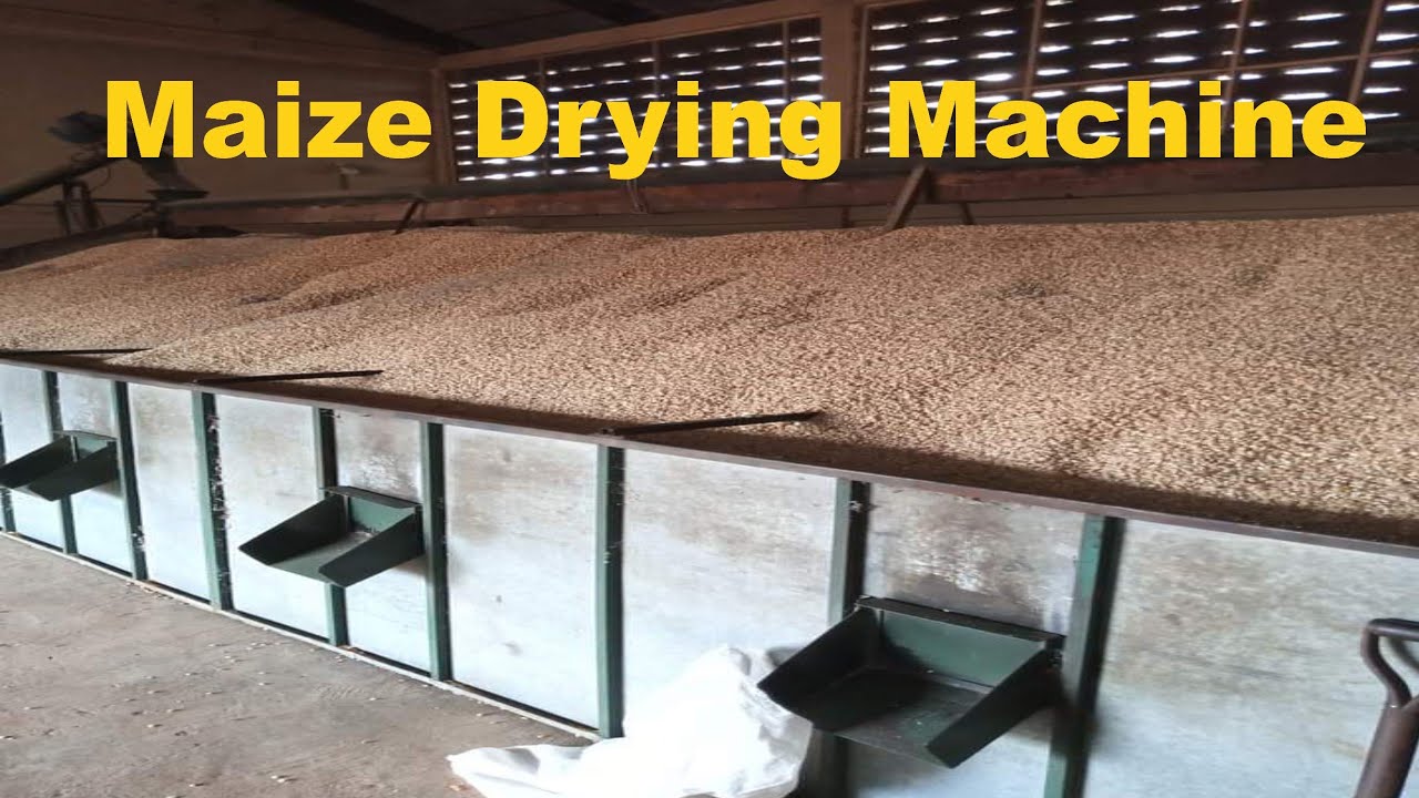 This Is How Our Maize Drying Machine Will Look Like 🌾🌾🇬🇭 - YouTube