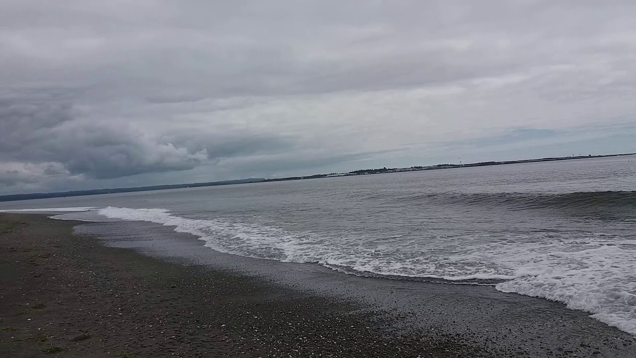 Walking on Damon point beach in Ocean shores, Washington. - YouTube