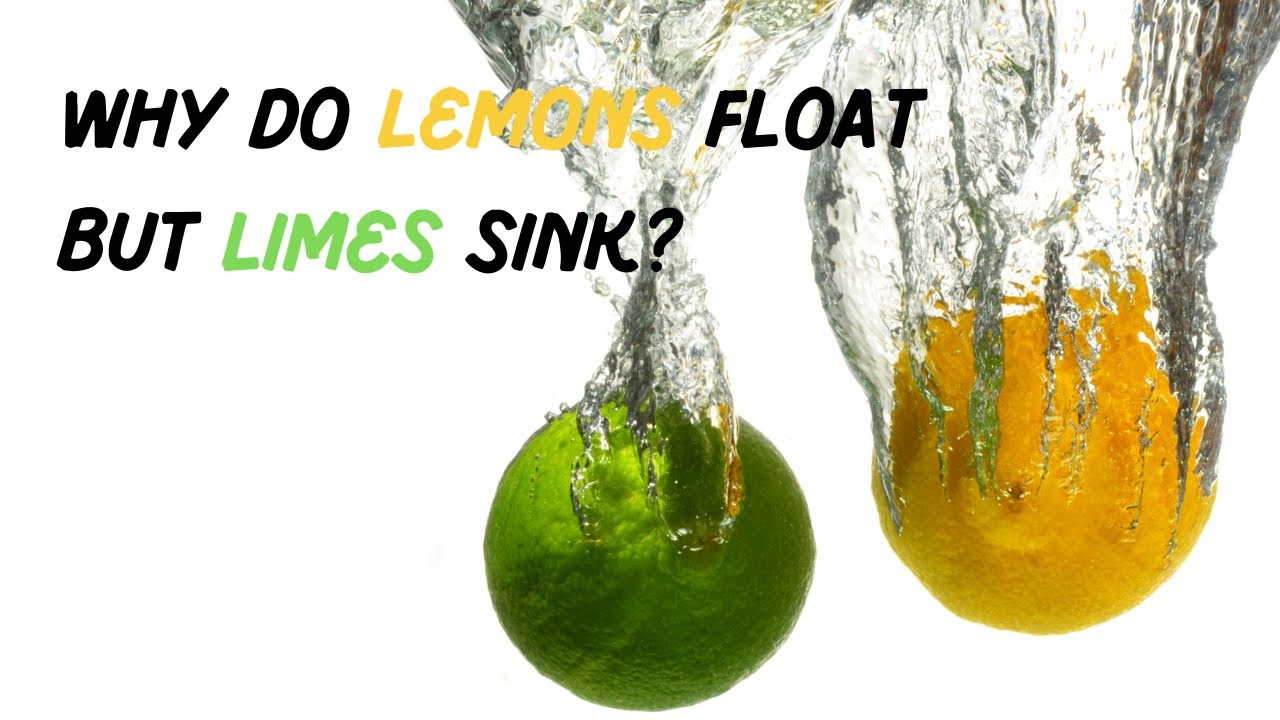 🍋 Why Do Lemons Float But Limes Sink? 🌊 | Fun Science Facts for Kids ...