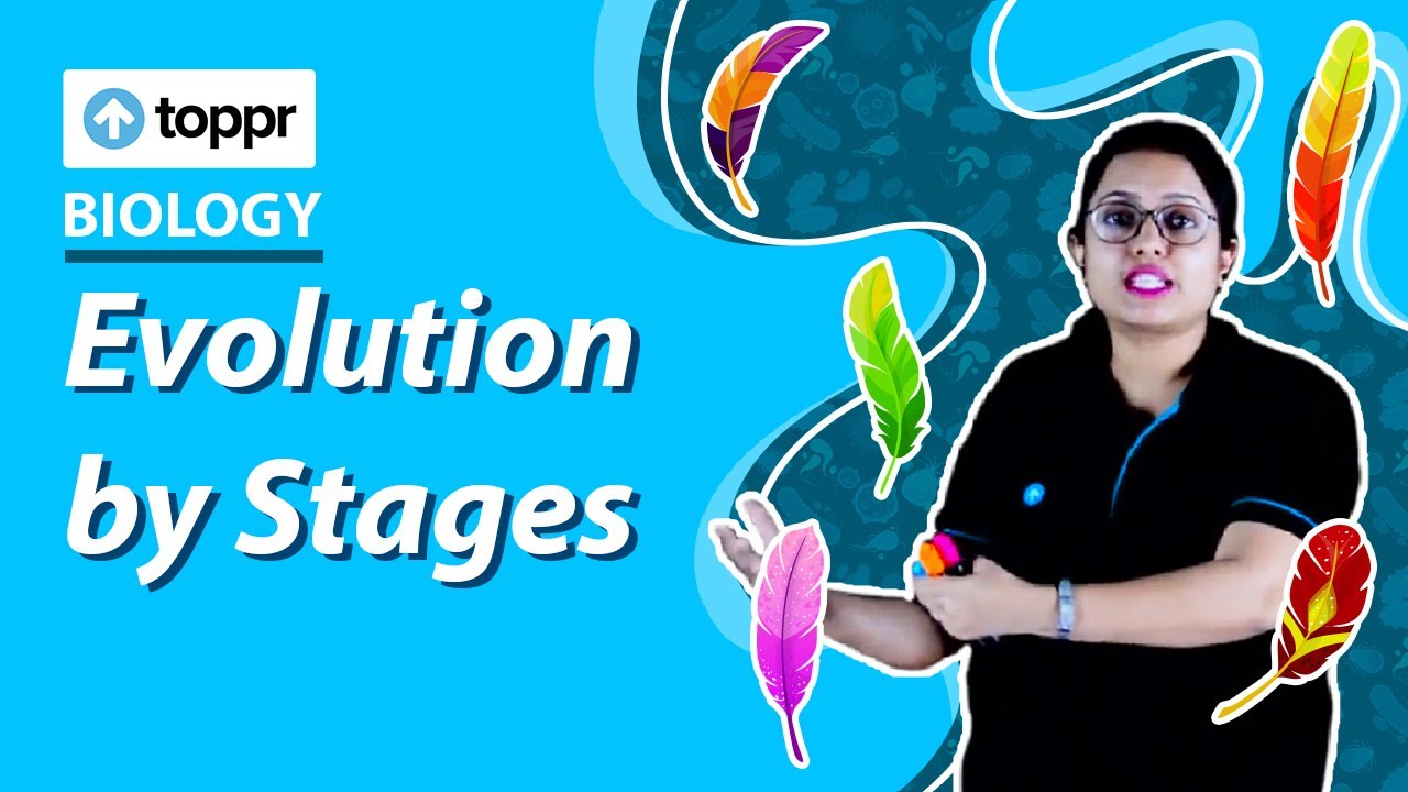 Evolution by Stages | Evolution | Class 12 Biology (CBSE/NCERT) - YouTube