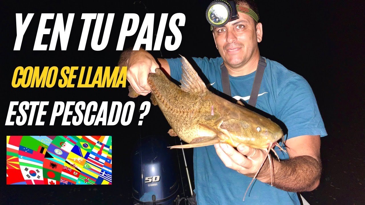 Pesca de Armado en Ita Ibate! #pescaydevolucion #argentina #fishing # ...