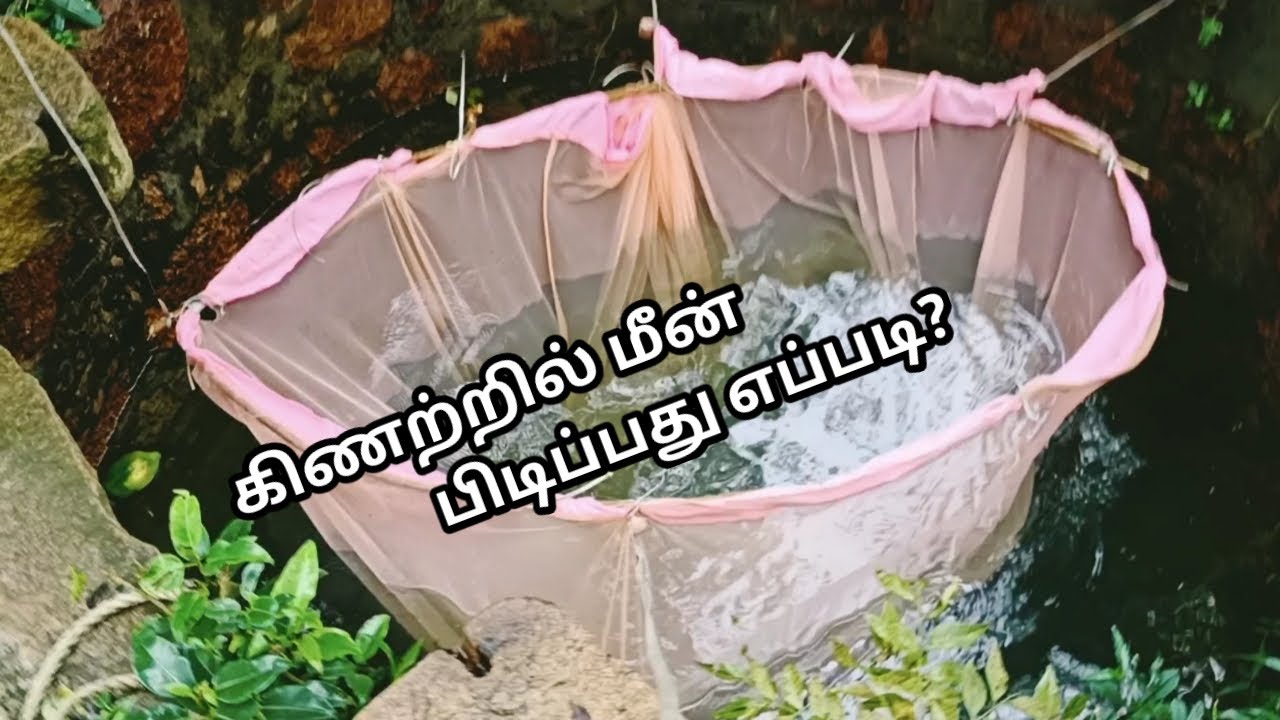 கிணற்றில் மீன் 🐟 பிடிப்பது எப்படி? | How to Fish Catching Well ...