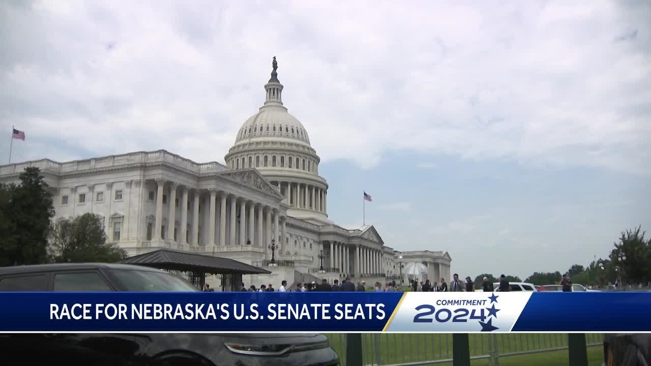 Nebraska US Senate race: Pete Ricketts facing challenger Preston Love ...