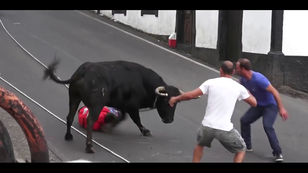 Marradas das Touradas nos Açores - YouTube