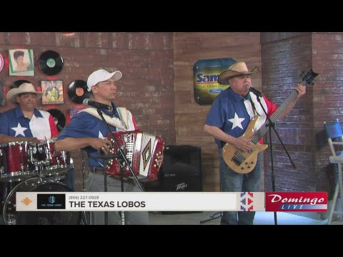 The Texas Lobos "Yo Lo Comprendo" (Frank Sinatra) - YouTube