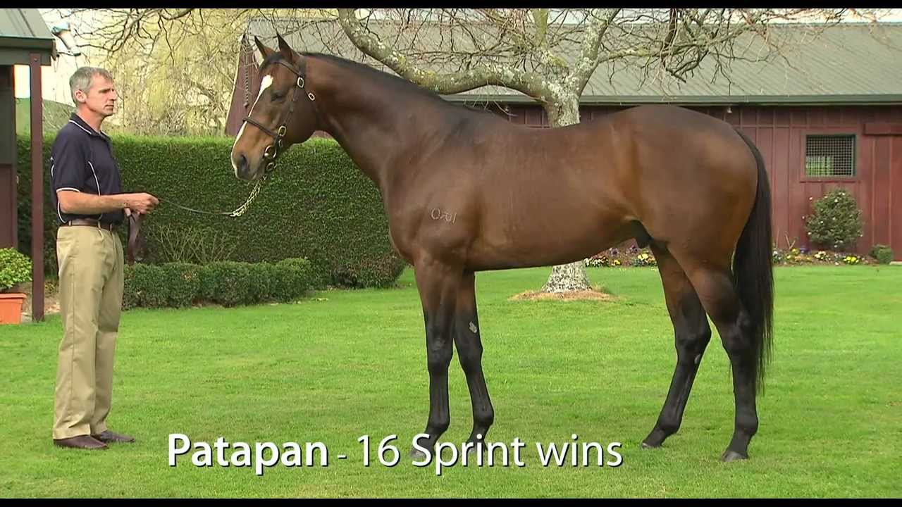 Patapan TV Commercial 2011 - YouTube