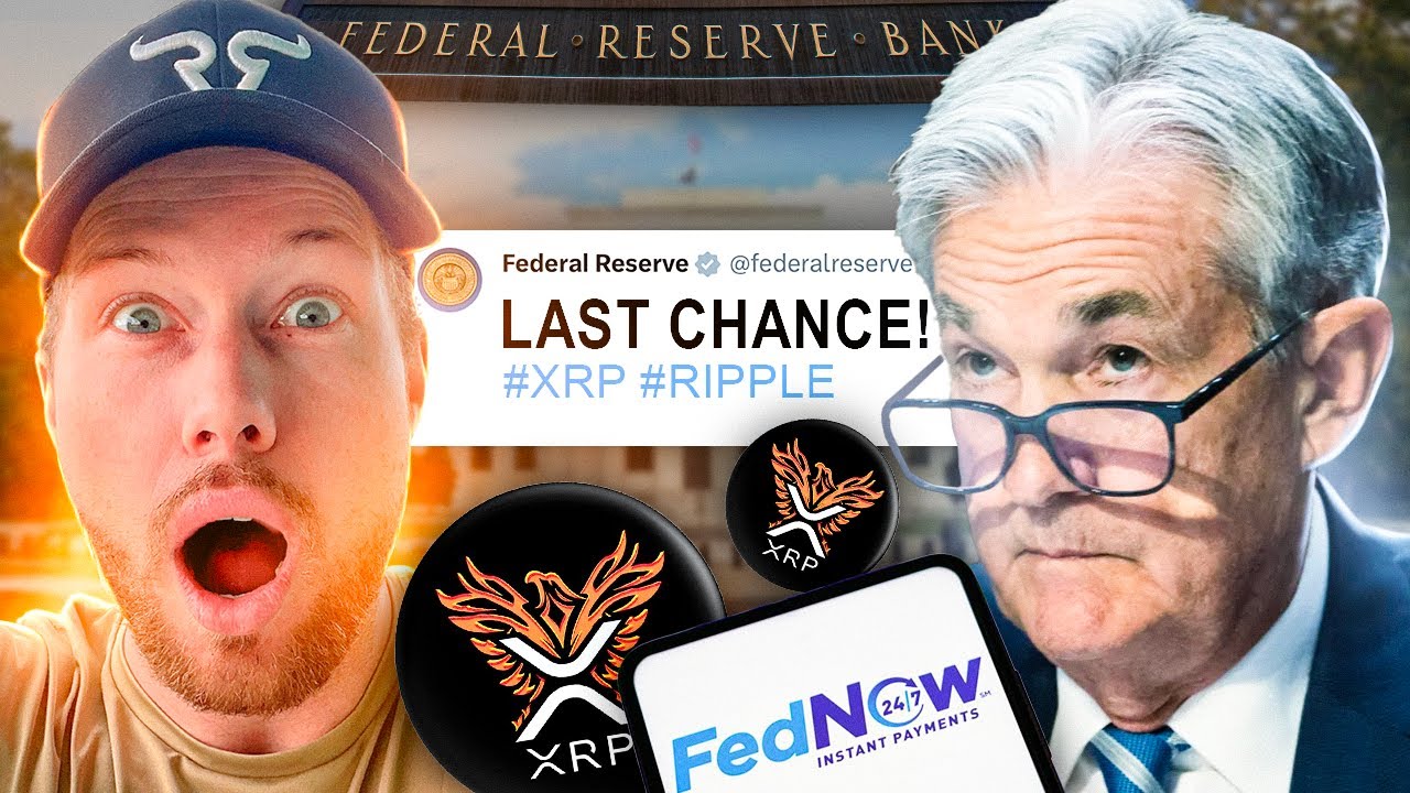 Ripple XRP LAST CHANCE - The FED Is About To Nuke Baby Boomers… (Best ...