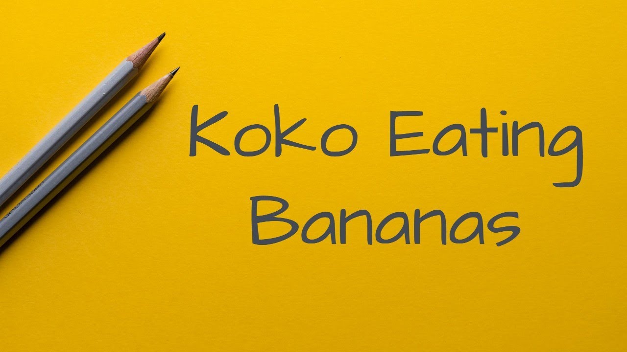 Koko Eating Bananas(full walkthru) - YouTube