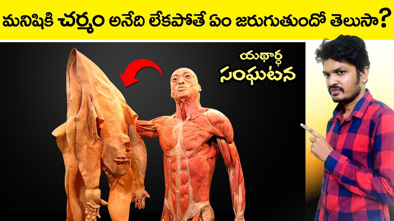 🔵 Top Interesting and Unknown Facts in Telugu | What if human body ...